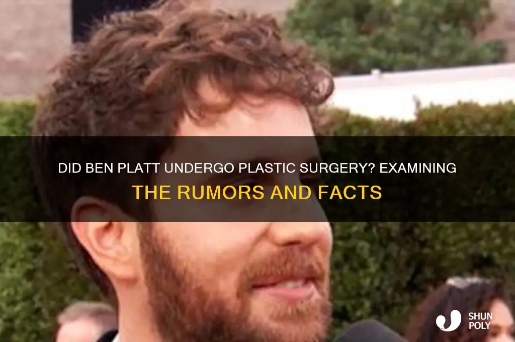Did Ben Platt Undergo Plastic Surgery? Examining The Rumors And Facts ...