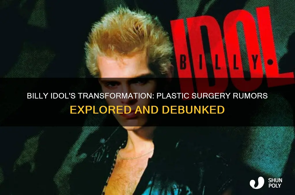 Billy Idol's Transformation: Plastic Surgery Rumors Explored And ...