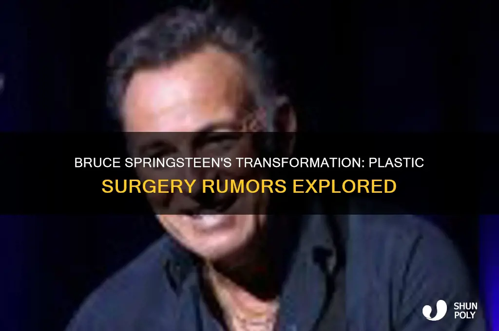 Bruce Springsteen's Transformation: Plastic Surgery Rumors Explored ...