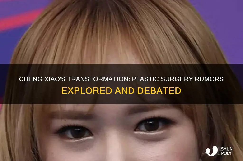 Cheng Xiao's Transformation: Plastic Surgery Rumors Explored And ...