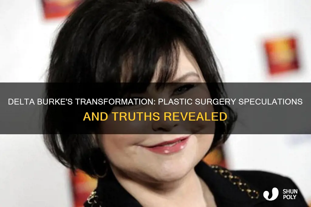 Delta Burke's Transformation: Plastic Surgery Speculations And Truths ...