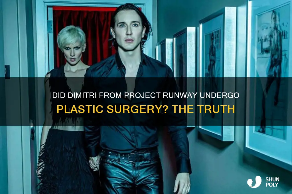 Did Dimitri From Project Runway Undergo Plastic Surgery? The Truth ...