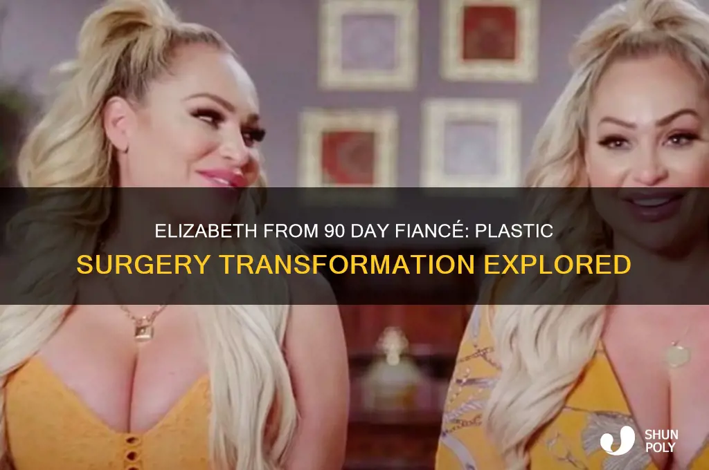 Elizabeth From 90 Day Fiancé: Plastic Surgery Transformation Explored ...
