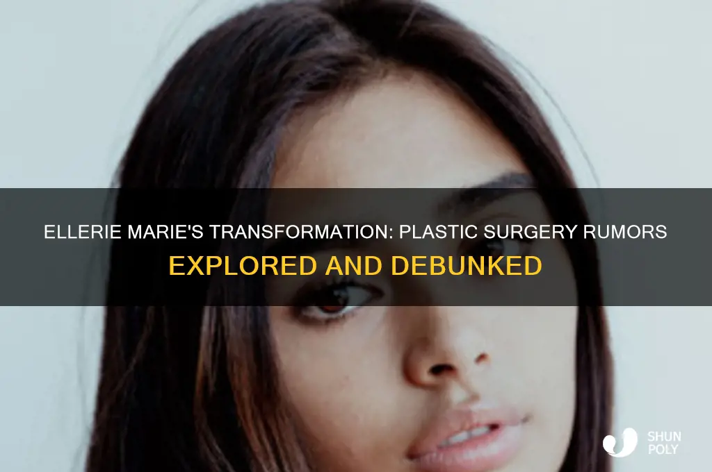 Ellerie Marie's Transformation: Plastic Surgery Rumors Explored And ...