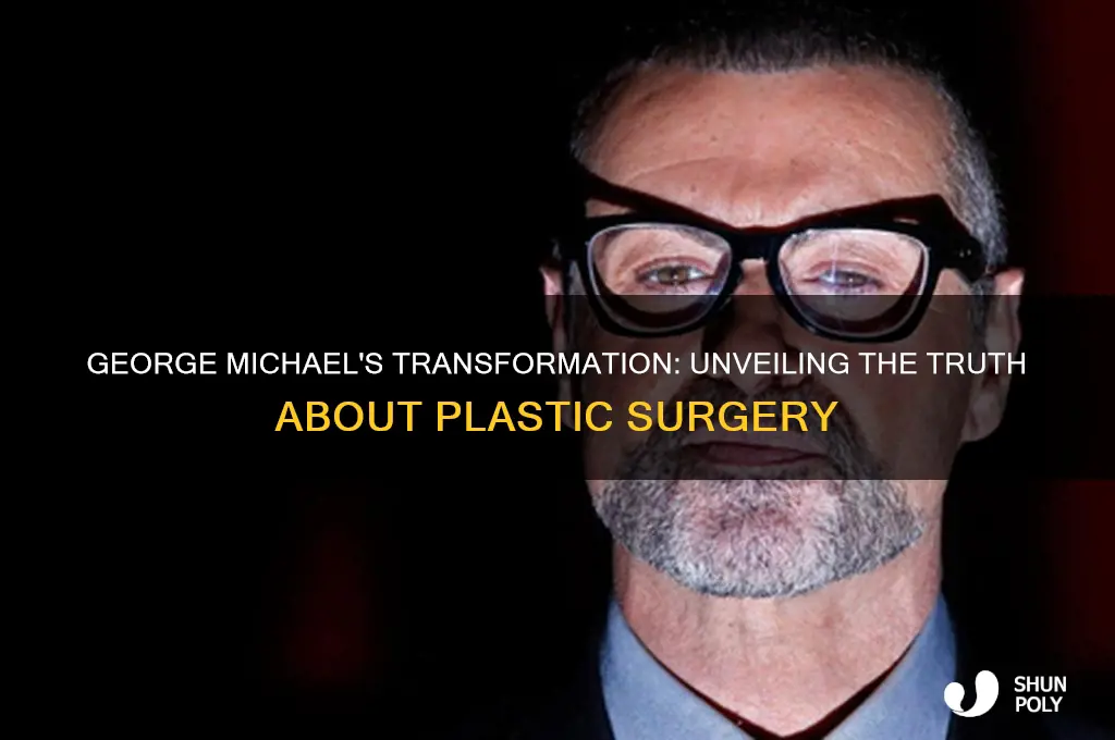 George Michael's Transformation: Unveiling The Truth About Plastic ...