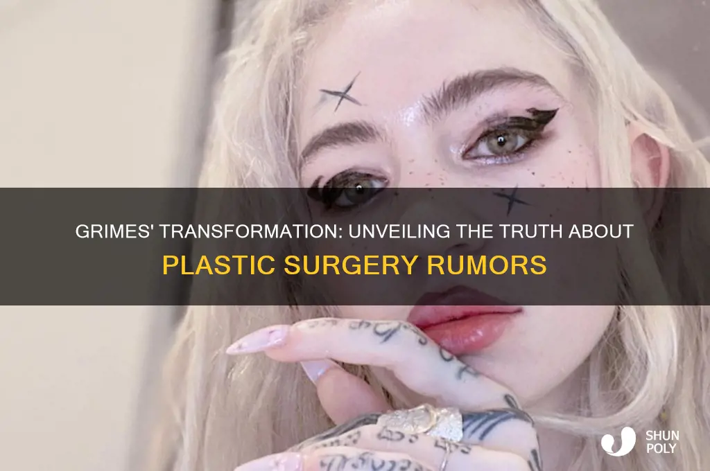 Grimes' Transformation: Unveiling The Truth About Plastic Surgery ...
