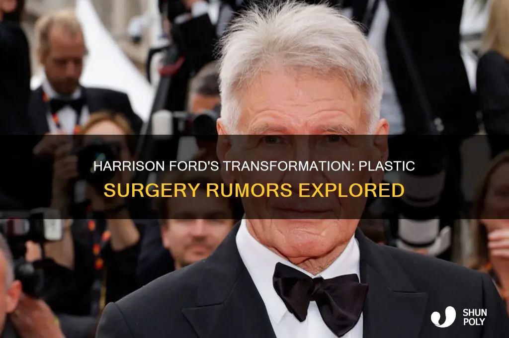 Harrison Ford's Transformation: Plastic Surgery Rumors Explored | ShunPoly