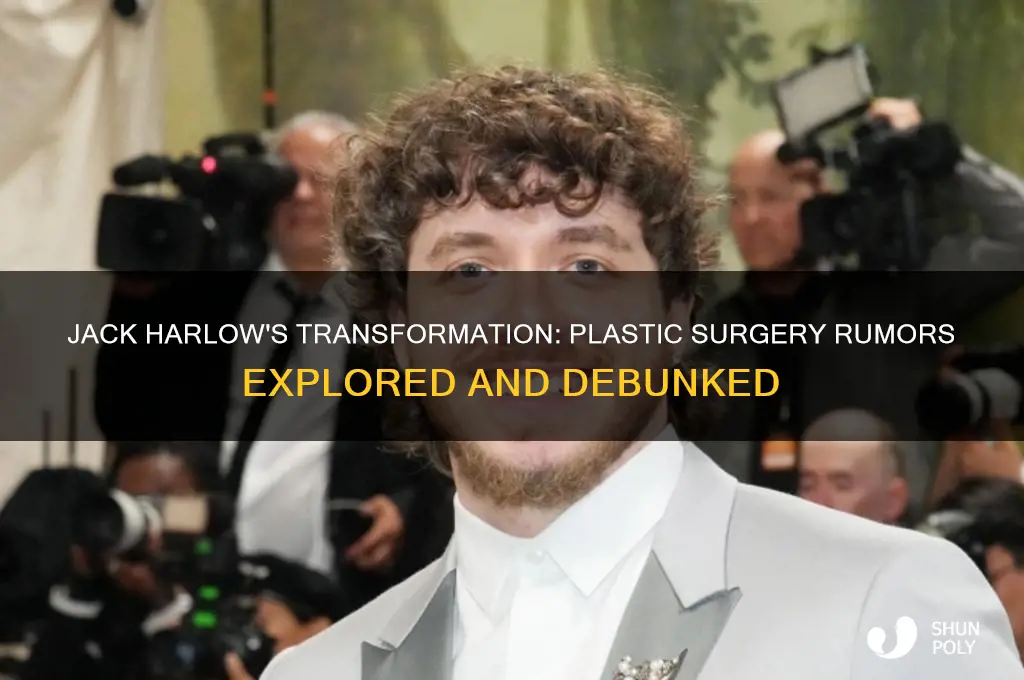 Jack Harlow's Transformation: Plastic Surgery Rumors Explored And ...