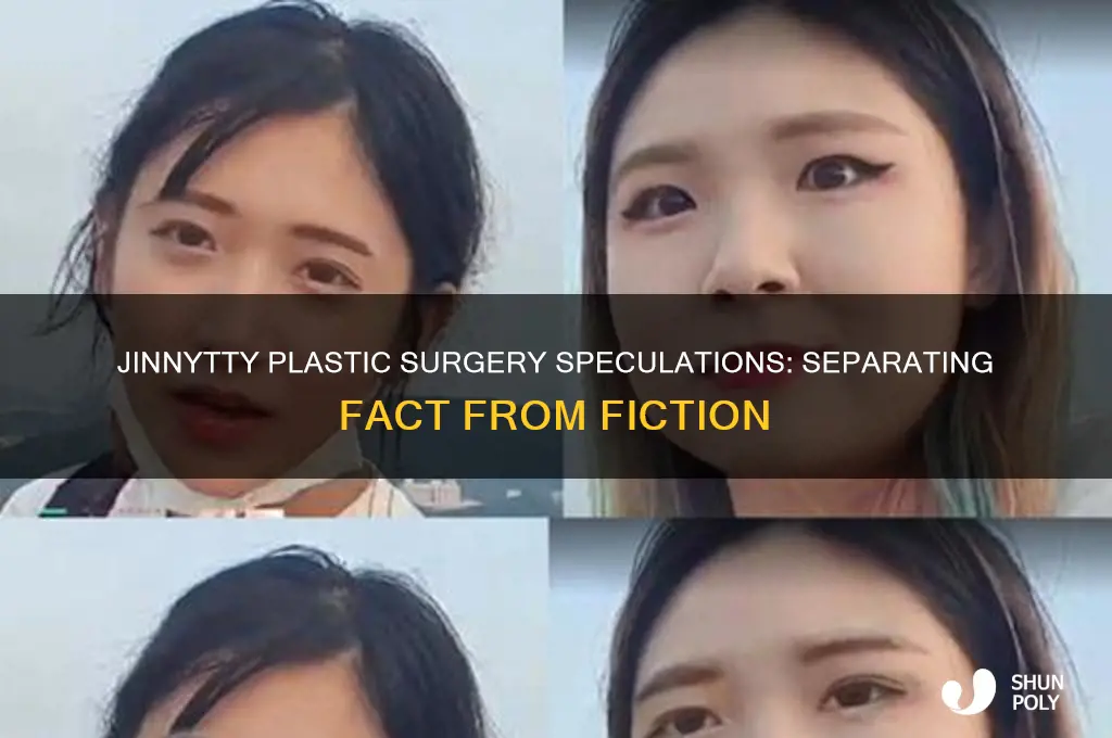 Jinnytty Plastic Surgery Speculations: Separating Fact From Fiction ...