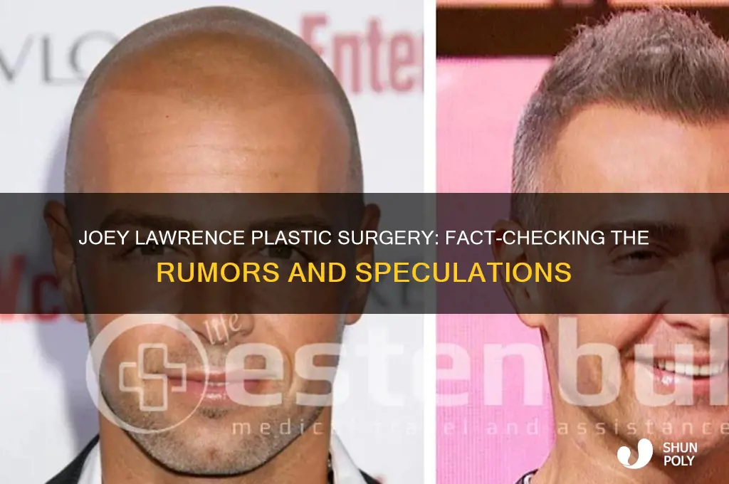 Joey Lawrence Plastic Surgery: Fact-Checking The Rumors And ...
