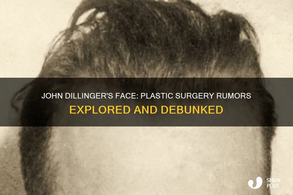 John Dillinger's Face: Plastic Surgery Rumors Explored And Debunked ...