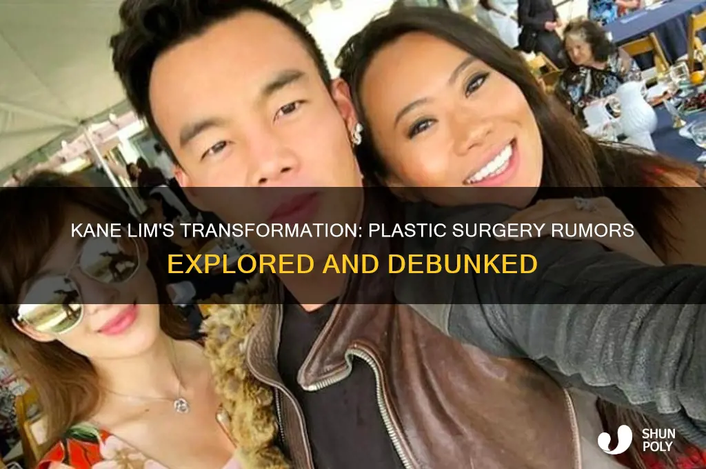 Kane Lim's Transformation: Plastic Surgery Rumors Explored And Debunked ...