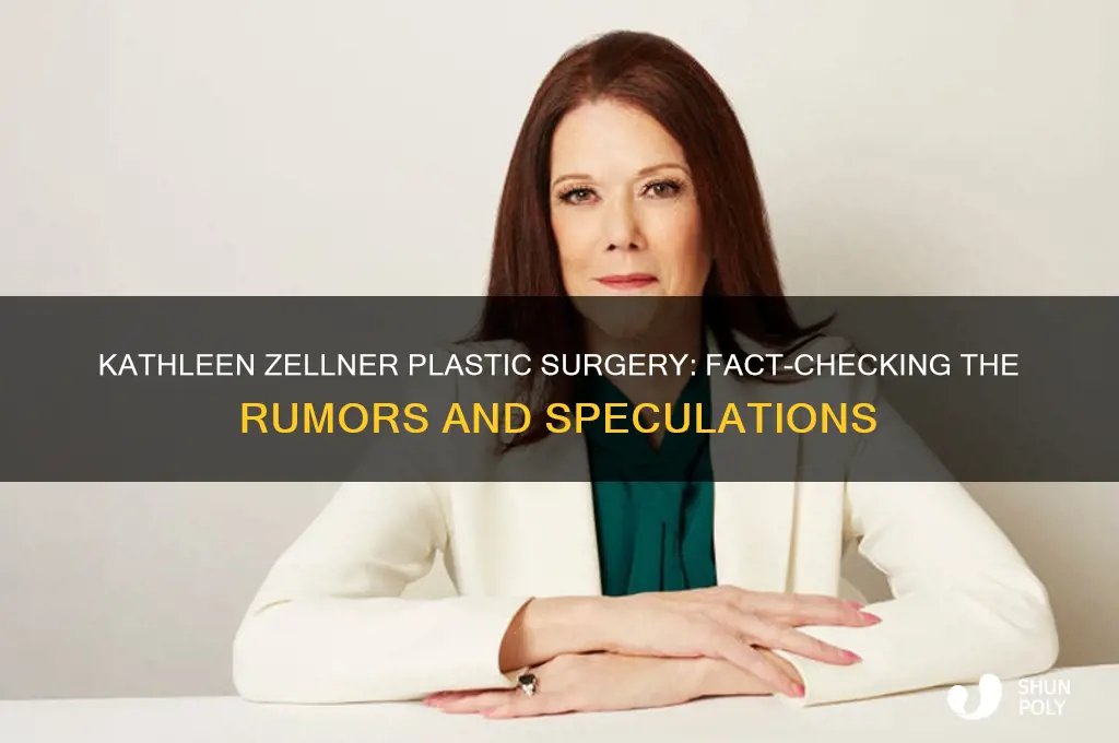Kathleen Zellner Plastic Surgery: Fact-Checking The Rumors And ...