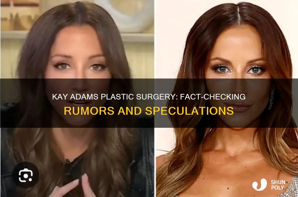 Kay Adams Plastic Surgery: Fact-Checking Rumors And Speculations | ShunPoly
