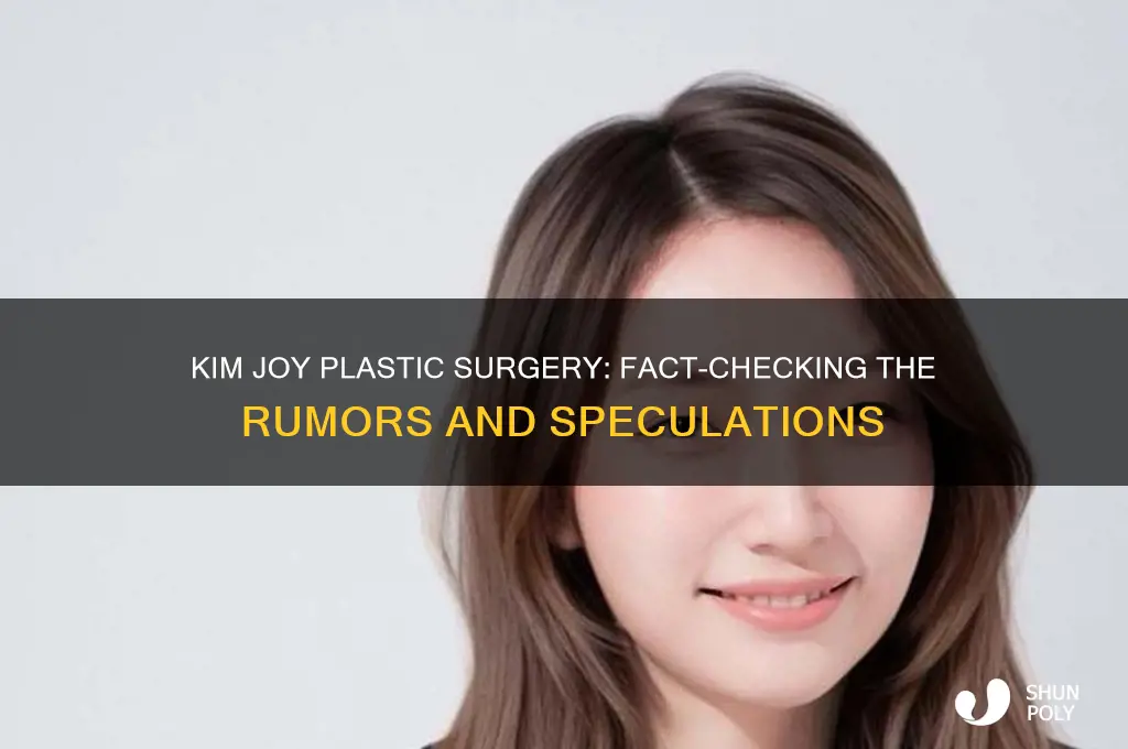 Kim Joy Plastic Surgery: Fact-Checking The Rumors And Speculations ...