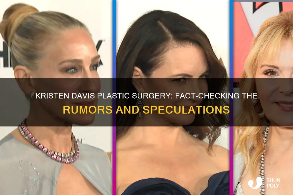 Kristen Davis Plastic Surgery: Fact-Checking The Rumors And ...