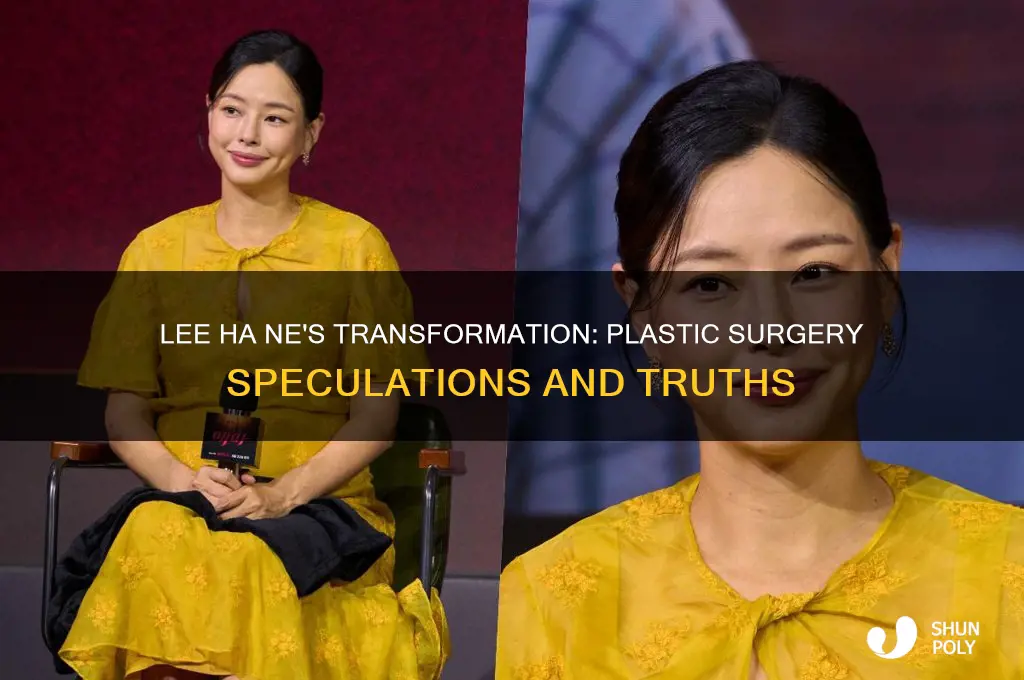 Lee Ha Ne's Transformation: Plastic Surgery Speculations And Truths ...