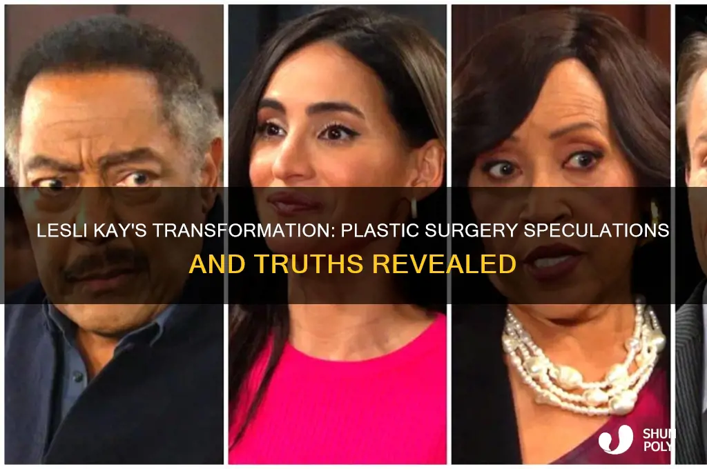 Lesli Kay's Transformation: Plastic Surgery Speculations And Truths ...
