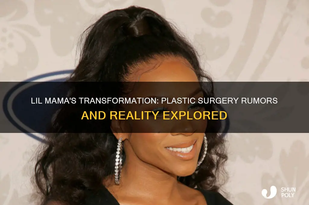 Lil Mama's Transformation: Plastic Surgery Rumors And Reality Explored ...