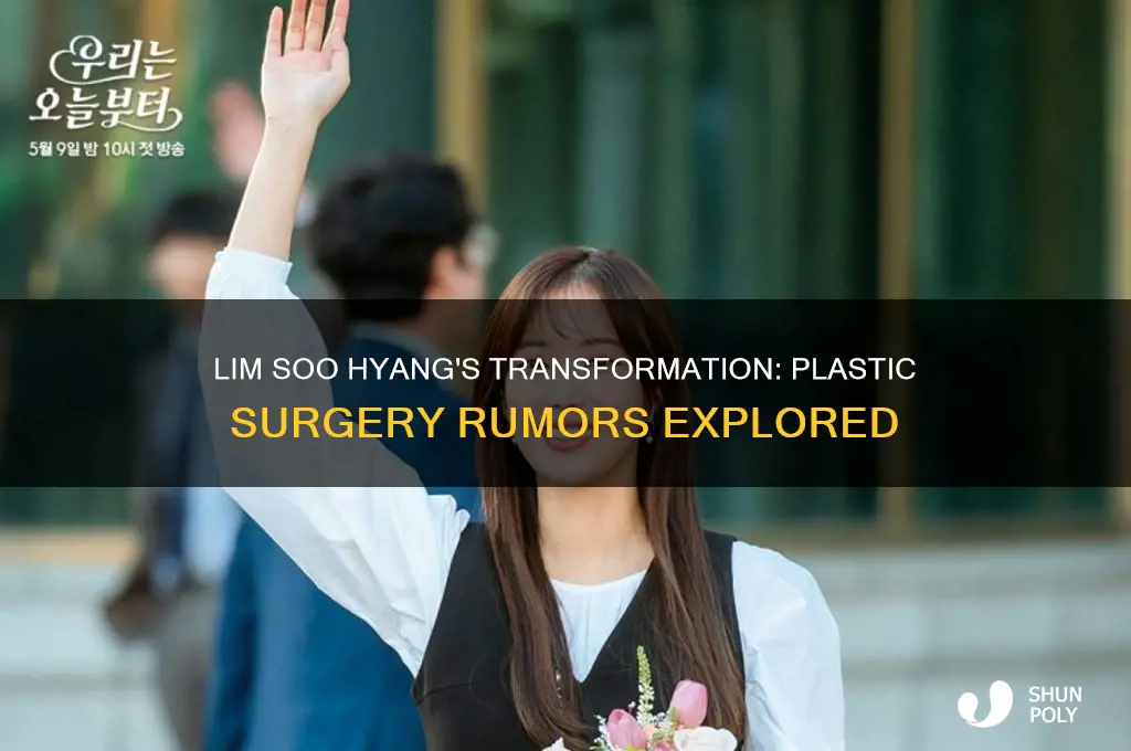 Lim Soo Hyang's Transformation: Plastic Surgery Rumors Explored | ShunPoly