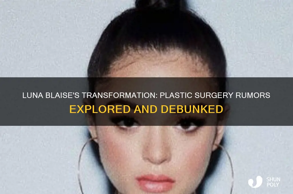 Luna Blaise's Transformation: Plastic Surgery Rumors Explored And ...