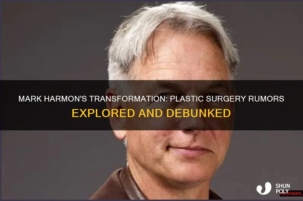 Mark Harmon's Transformation: Plastic Surgery Rumors Explored And ...