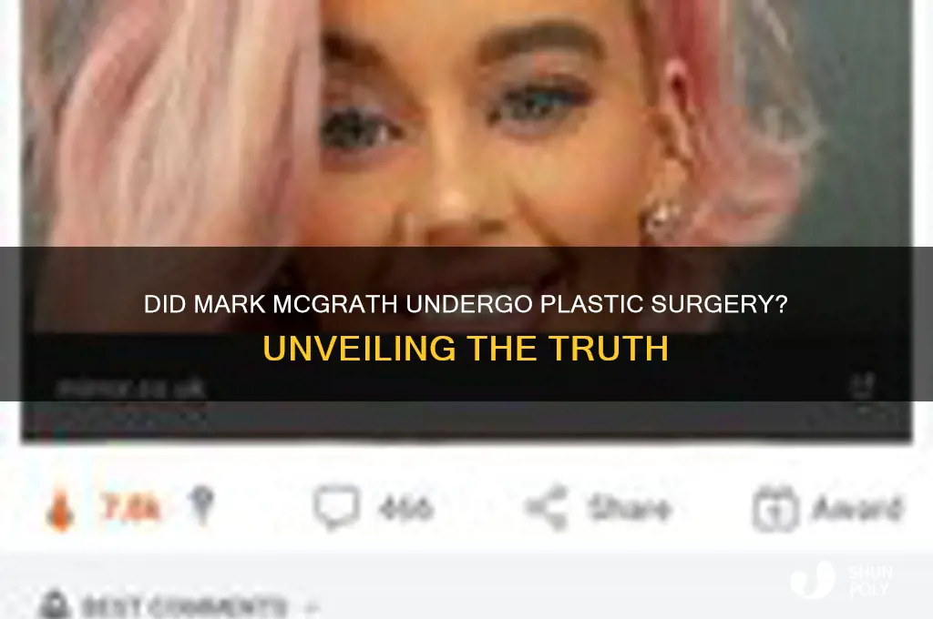 Did Mark Mcgrath Undergo Plastic Surgery? Unveiling The Truth | ShunPoly