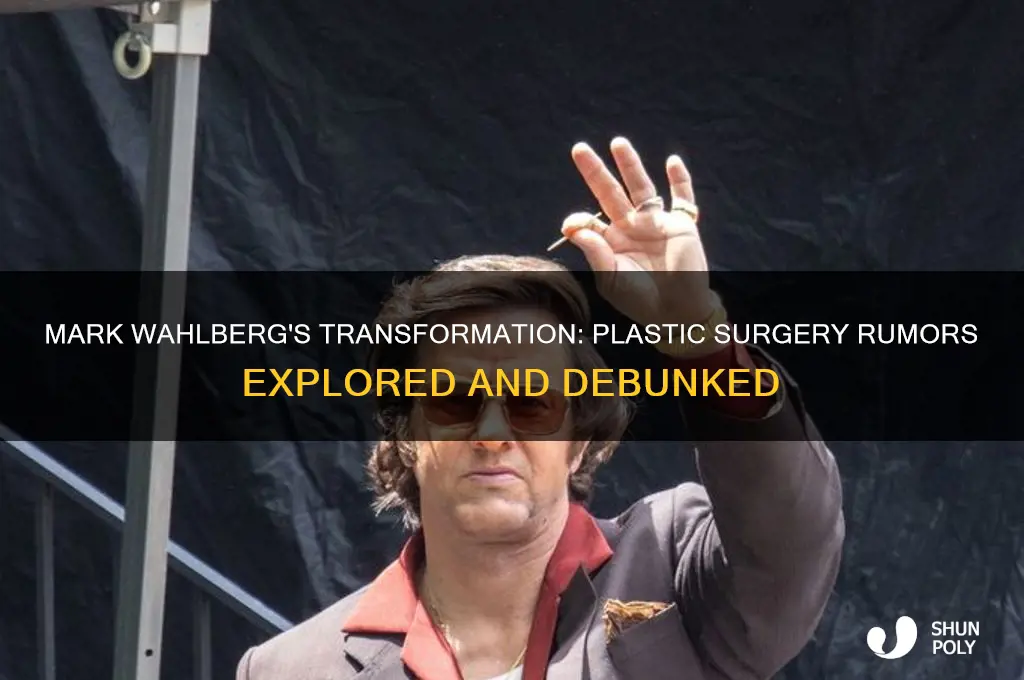 Mark Wahlberg's Transformation: Plastic Surgery Rumors Explored And ...