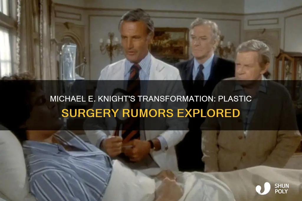 Michael E. Knight's Transformation: Plastic Surgery Rumors Explored ...