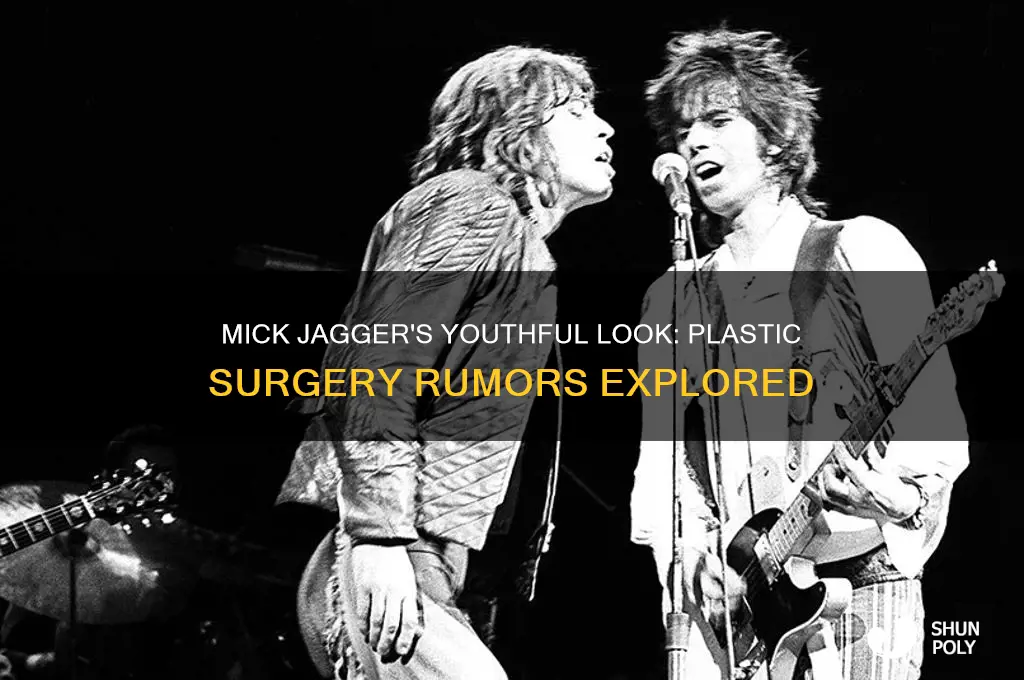 Mick Jagger's Youthful Look: Plastic Surgery Rumors Explored | ShunPoly