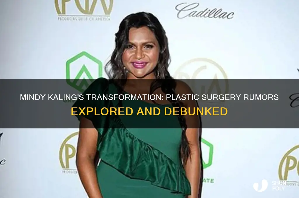 Mindy Kaling's Transformation: Plastic Surgery Rumors Explored And ...
