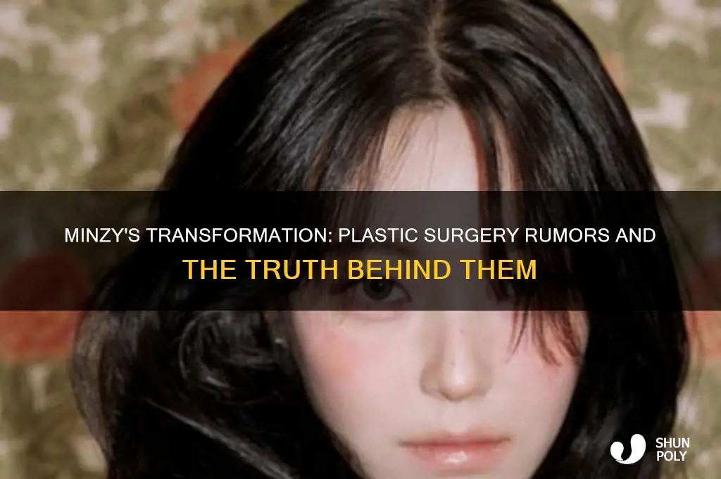 Minzy's Transformation: Plastic Surgery Rumors And The Truth Behind ...