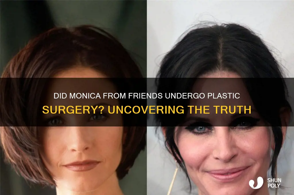 Did Monica From Friends Undergo Plastic Surgery? Uncovering The Truth ...
