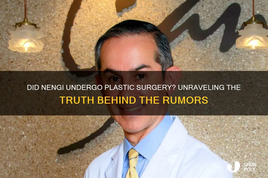 Did Nengi Undergo Plastic Surgery? Unraveling The Truth Behind The ...