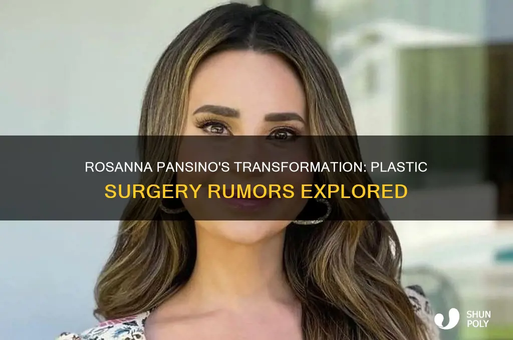 Rosanna Pansino's Transformation: Plastic Surgery Rumors Explored ...