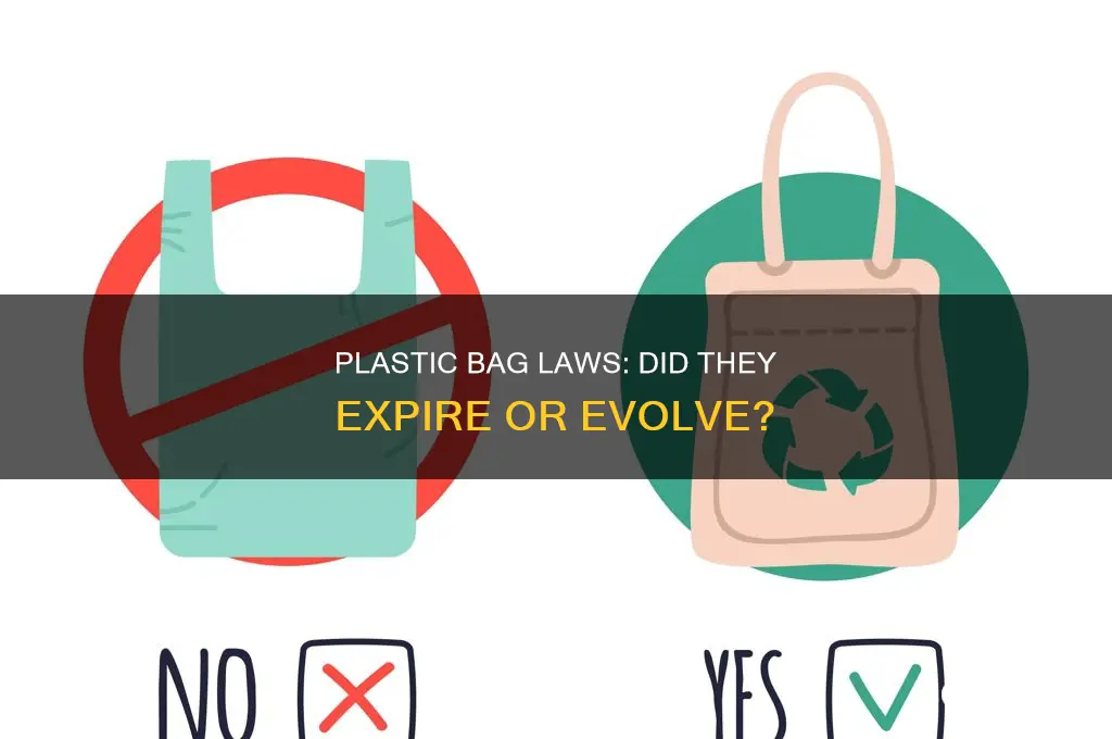 Plastic Bag Laws: Did They Expire Or Evolve? | ShunPoly