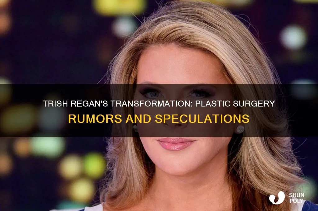 Trish Regan's Transformation: Plastic Surgery Rumors And Speculations ...