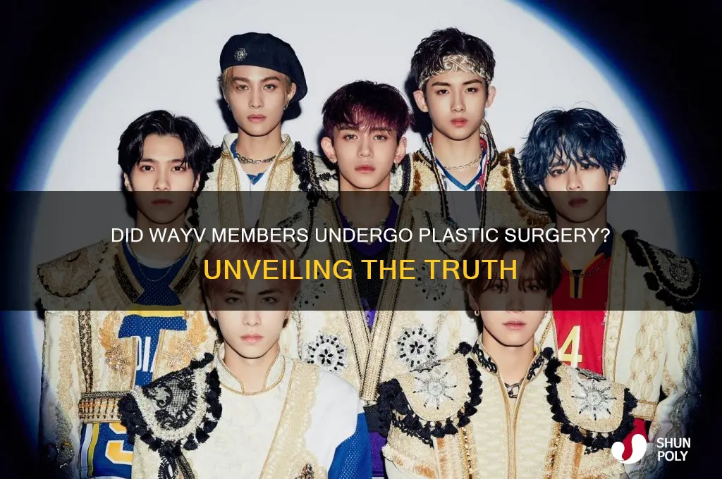Did Wayv Members Undergo Plastic Surgery? Unveiling The Truth | ShunPoly