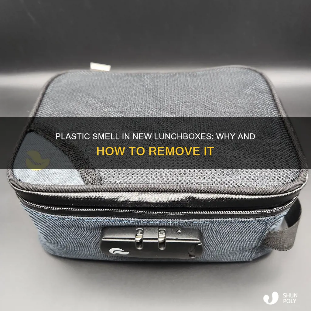 Plastic Smell In New Lunchboxes: Why And How To Remove It | ShunPoly