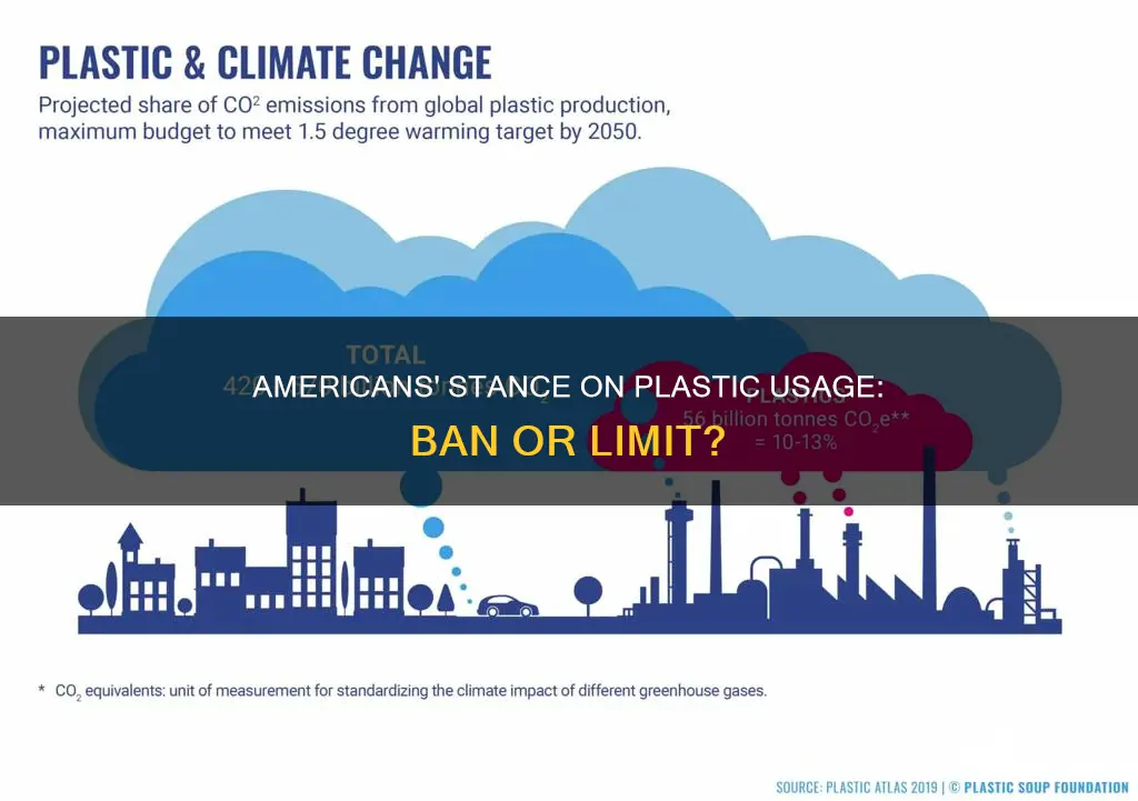 Americans' Stance On Plastic Usage: Ban Or Limit? | ShunPoly