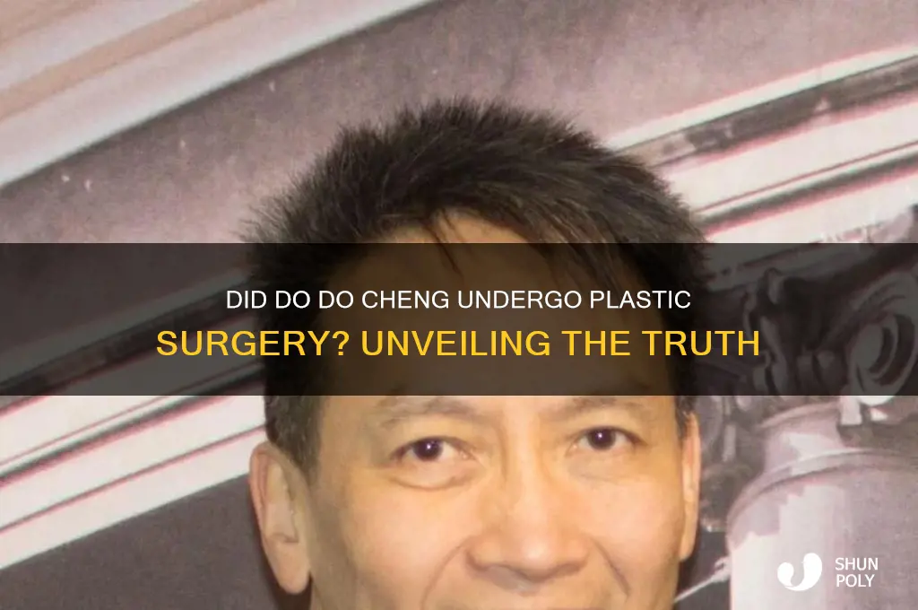 Did Do Do Cheng Undergo Plastic Surgery? Unveiling The Truth | ShunPoly