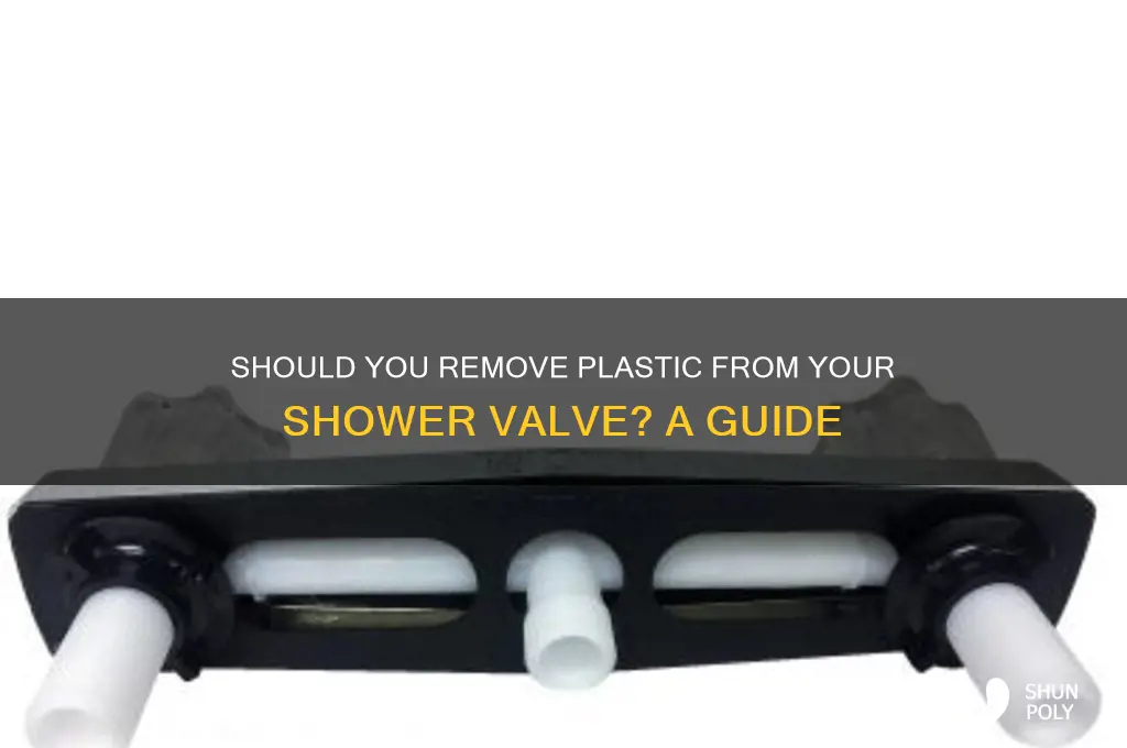 Should You Remove Plastic From Your Shower Valve? A Guide | ShunPoly