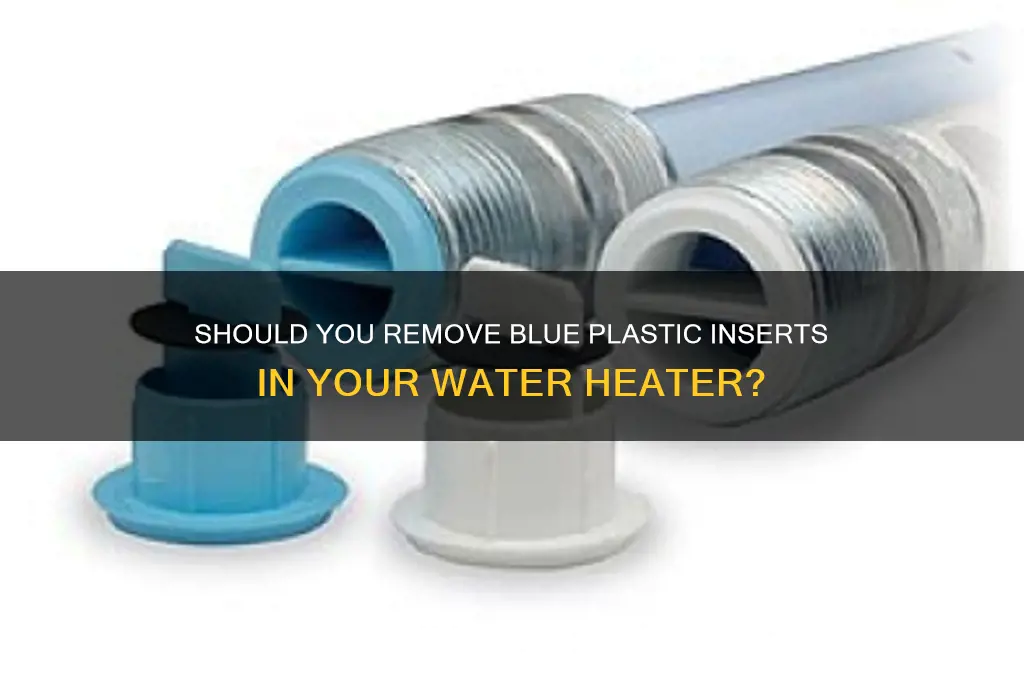 Should You Remove Blue Plastic Inserts In Your Water Heater? | ShunPoly