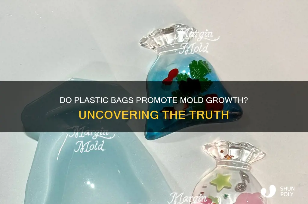 Do Plastic Bags Promote Mold Growth? Uncovering The Truth | ShunPoly