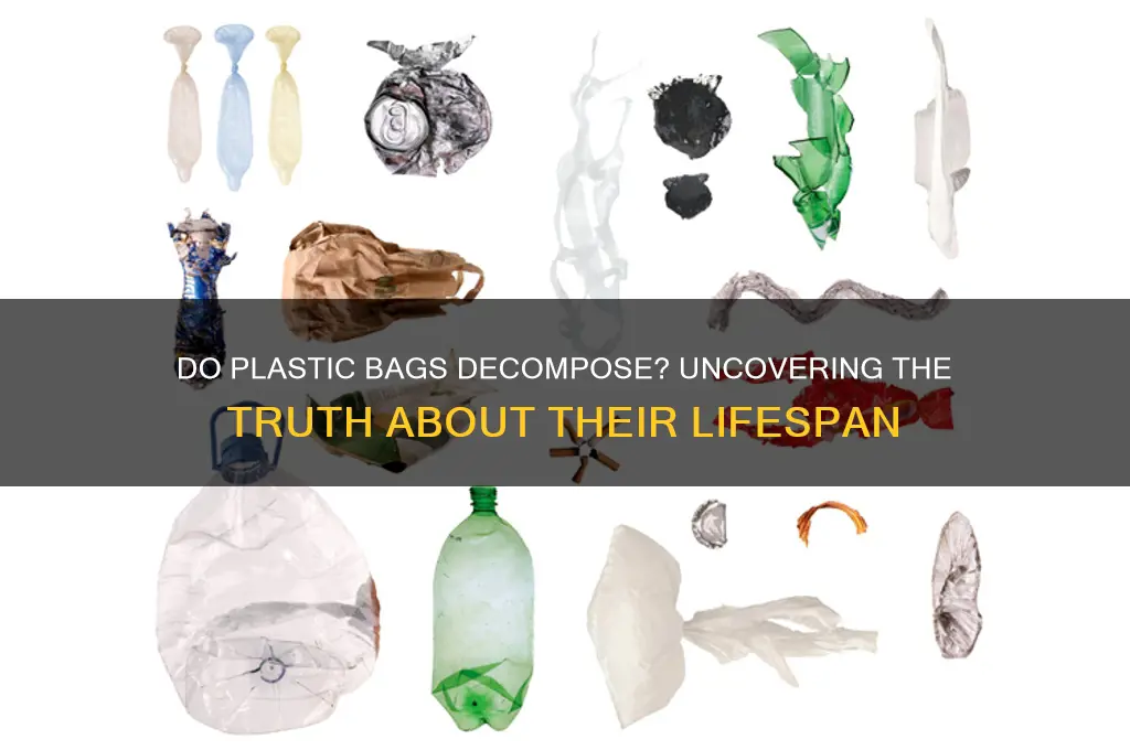 Do Plastic Bags Decompose? Uncovering The Truth About Their Lifespan ...