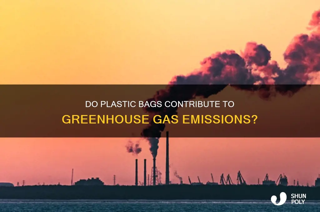 Do Plastic Bags Contribute To Greenhouse Gas Emissions? | ShunPoly