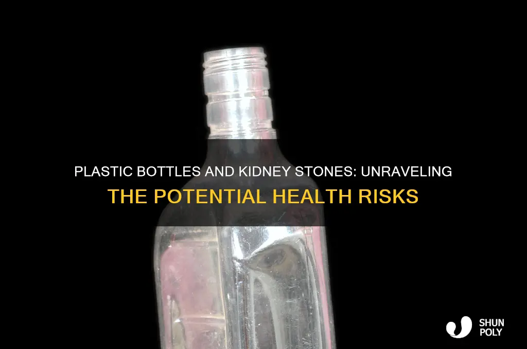 Plastic Bottles And Kidney Stones: Unraveling The Potential Health ...