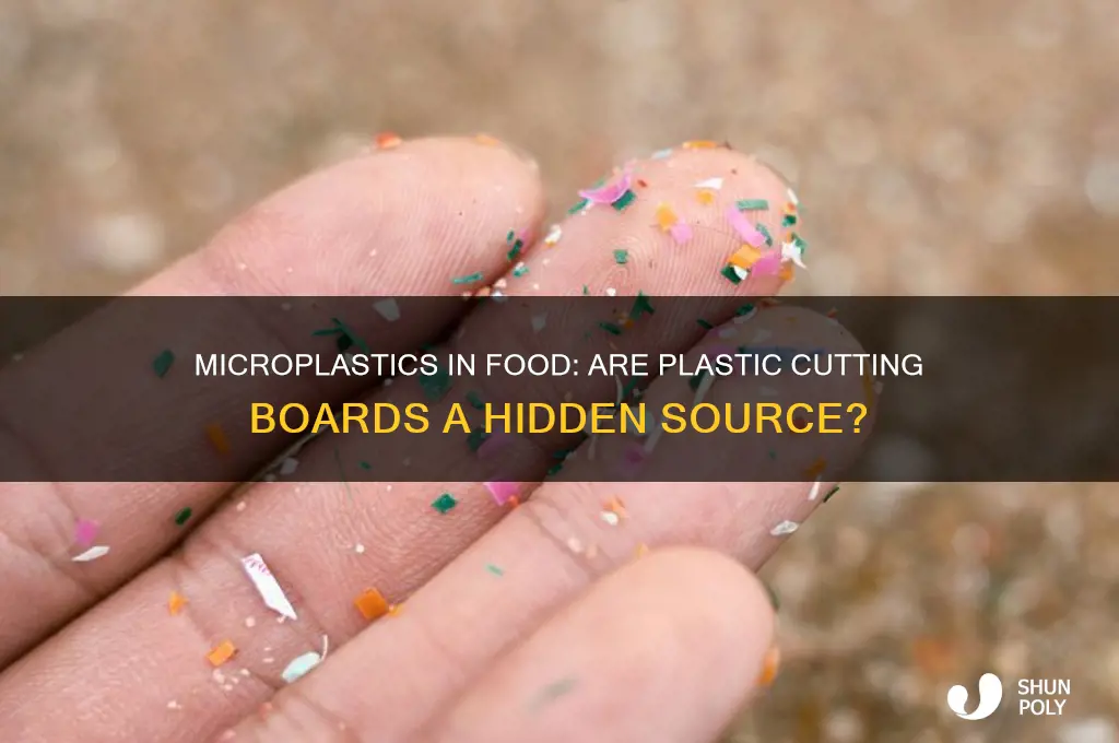 Microplastics In Food: Are Plastic Cutting Boards A Hidden Source ...