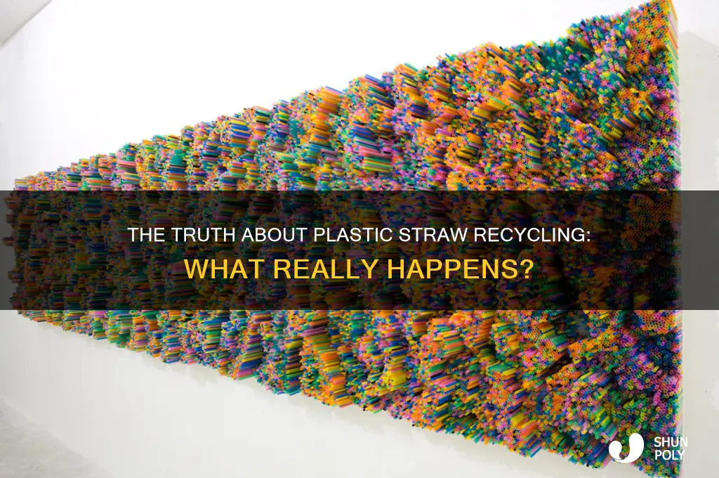 The Truth About Plastic Straw Recycling: What Really Happens? | ShunPoly