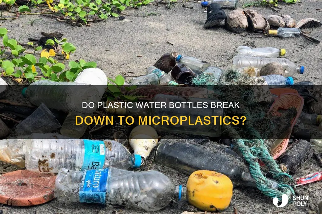 Do Plastic Water Bottles Break Down To Microplastics? | ShunPoly
